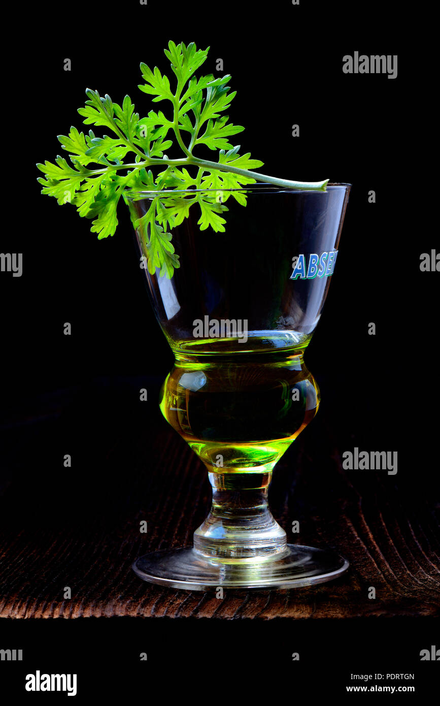 Glas Absinth mit Wermutkraut Stock Photo - Alamy