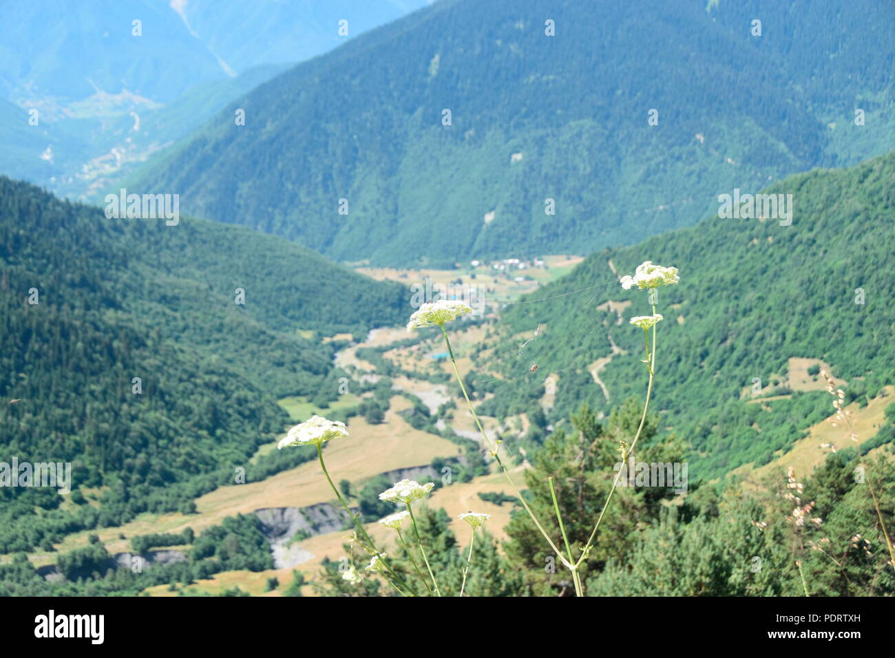 Becho georgia hi-res stock photography and images - Alamy