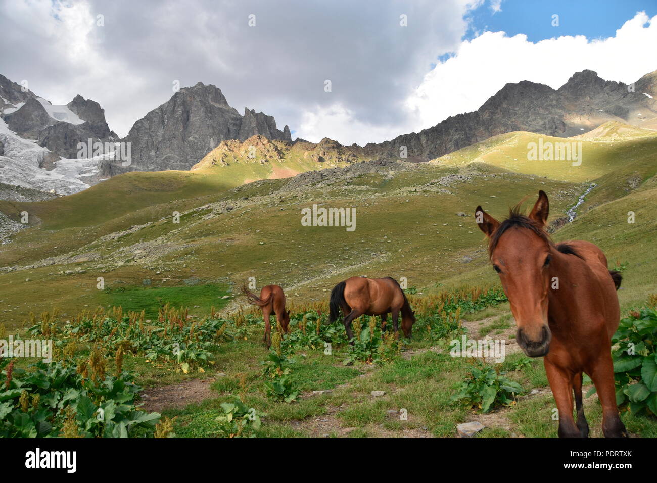 Mountain Mazeri, Mazeri, Becho Community, Svaneti, Georgia Stock Photo ...