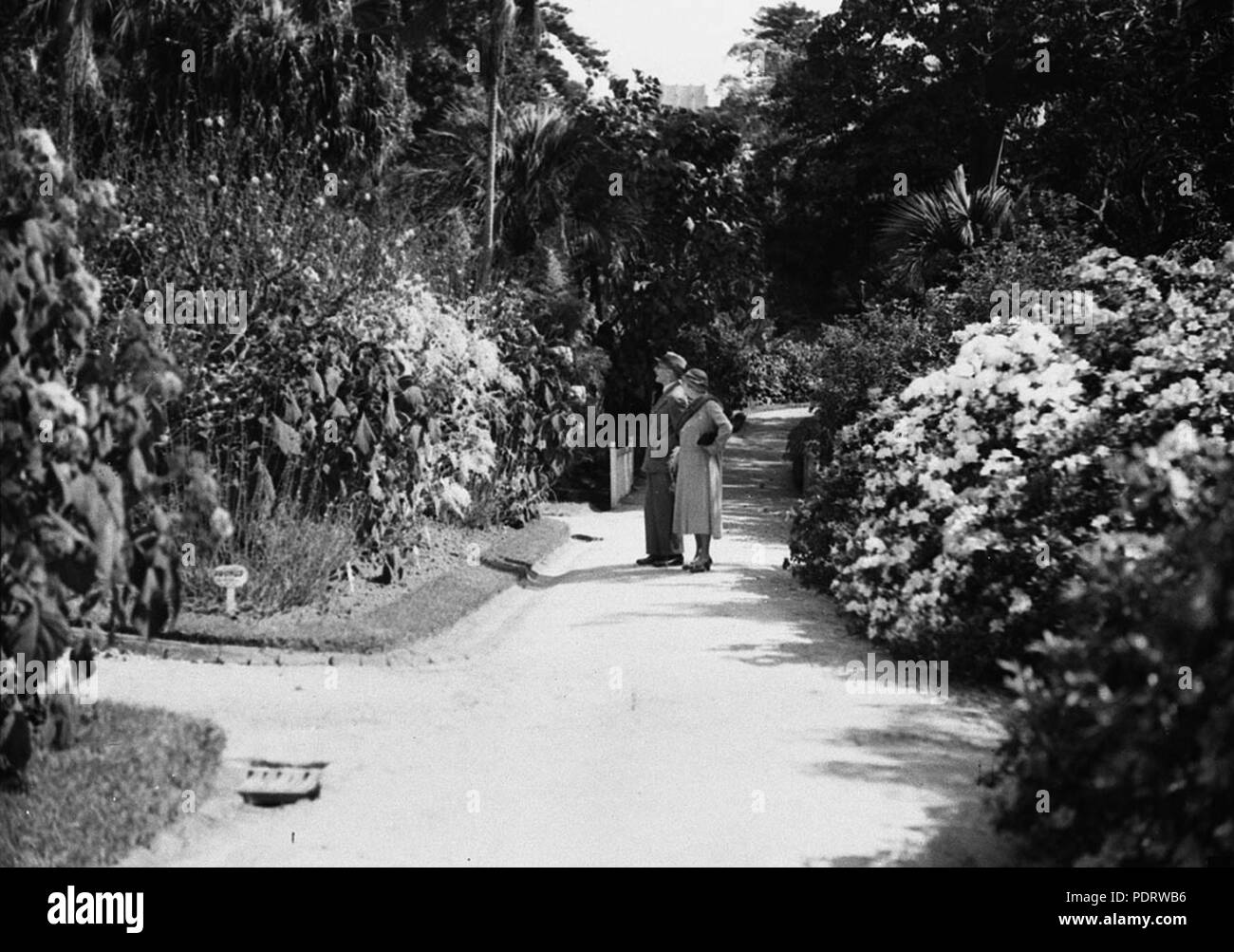 Serene park scene lush Black and White Stock Photos & Images - Alamy