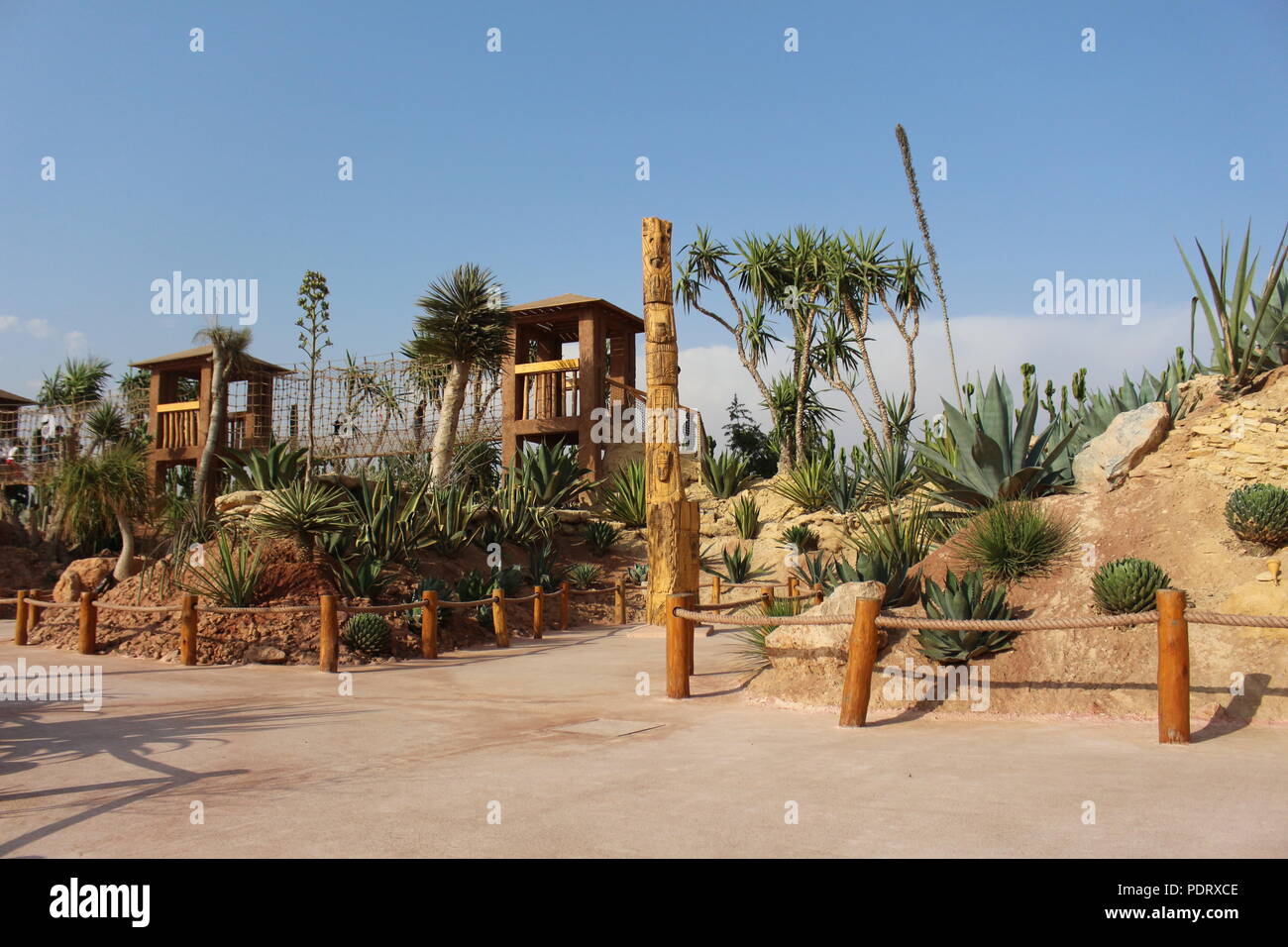 The high-resolution photo of wildlife, africa, toad, reptile, fauna ...