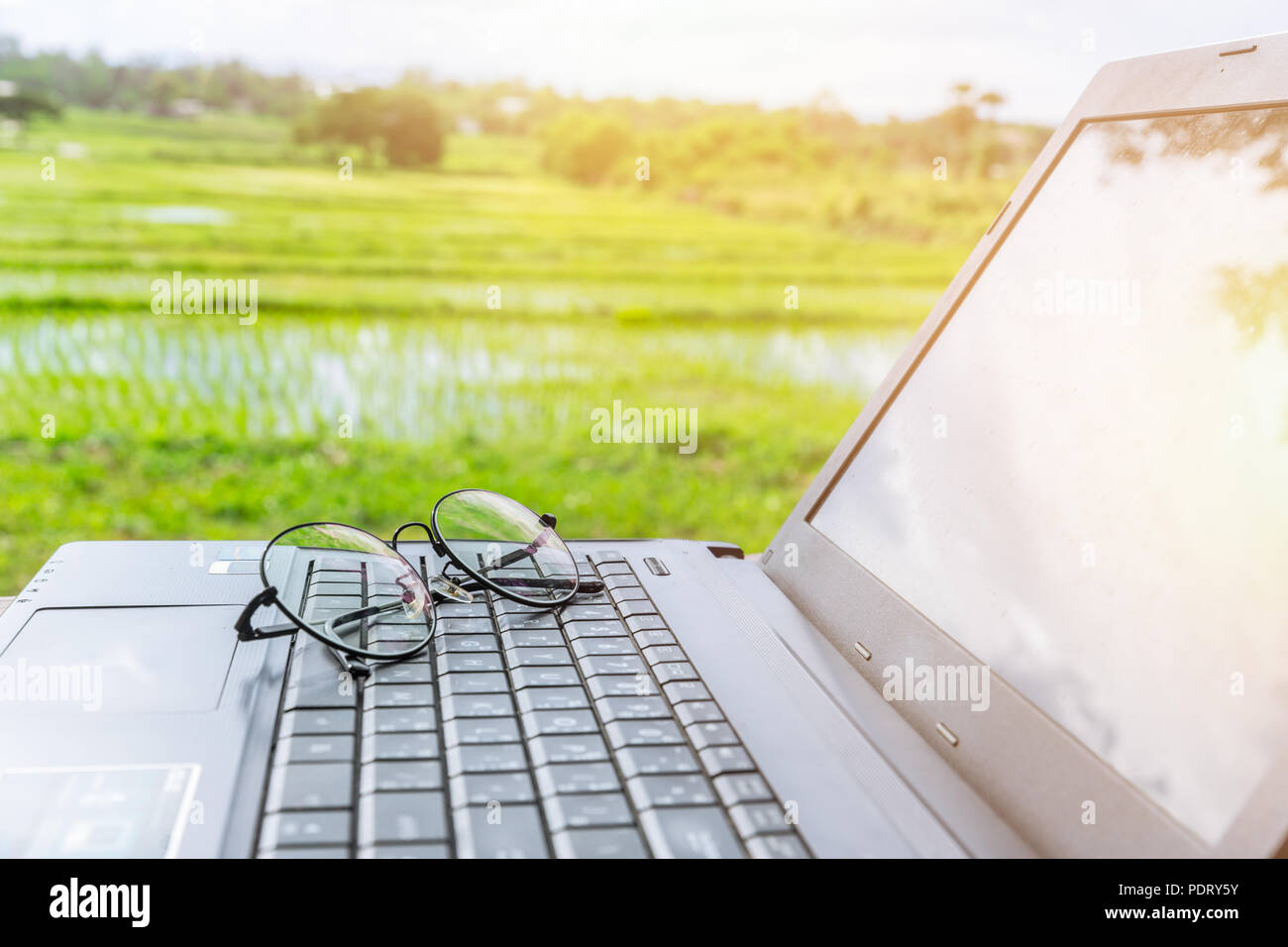 Computer laptop with glasses with rural rice field scene background for ...
