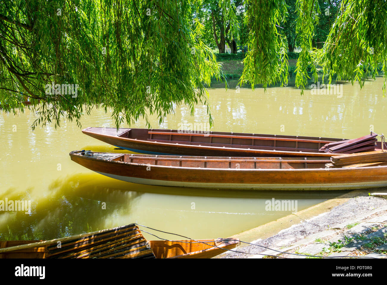 Germany, Two punt boats under green willow tree on neckar river Stock ...