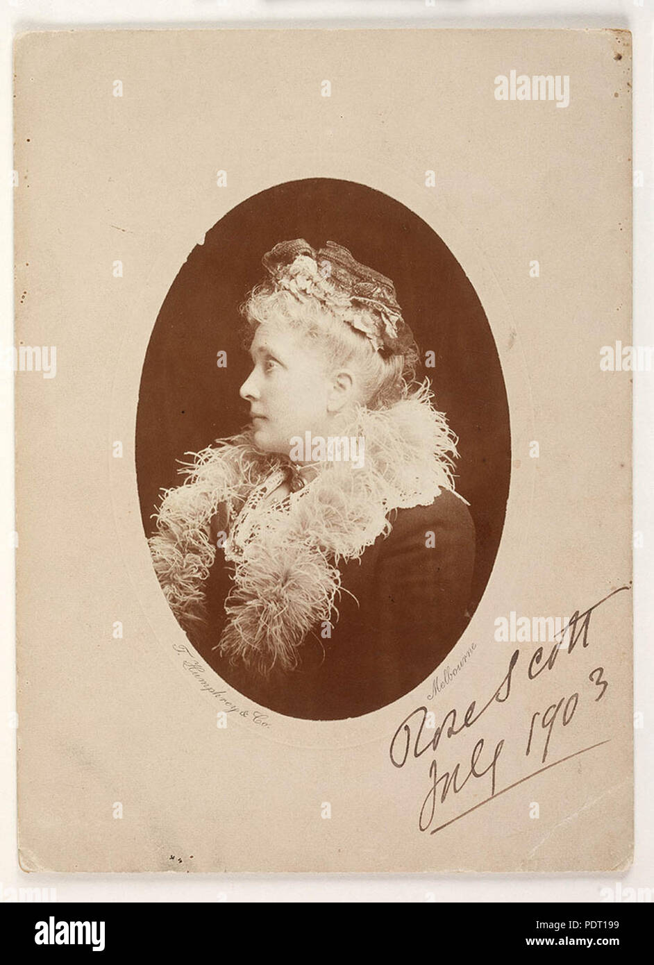 Rose scott hi-res stock photography and images - Alamy