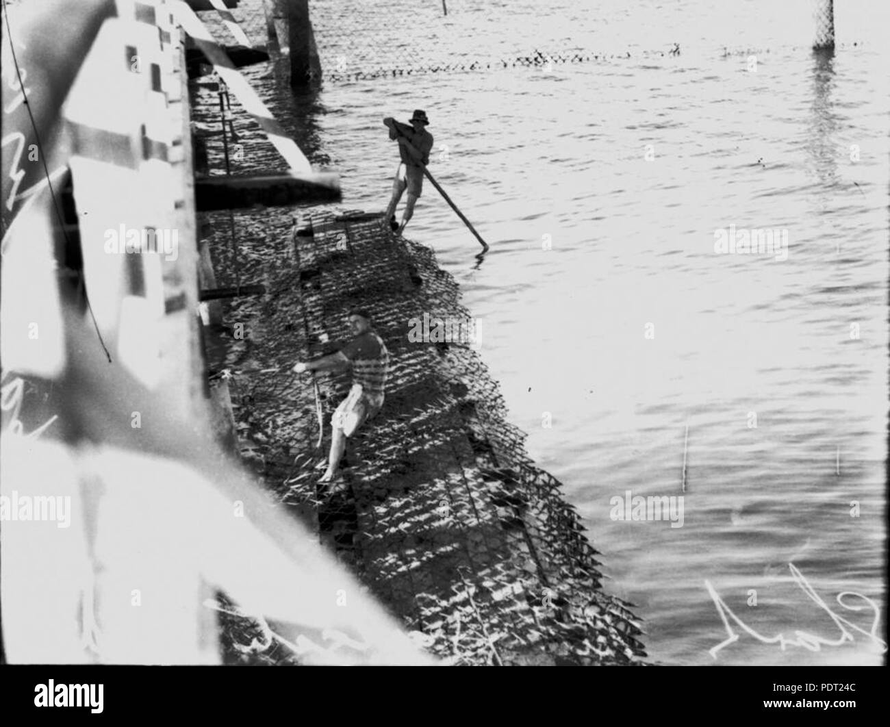 202 StateLibQld 1 106564 Sharkproof net at the Sandgate Jetty, 1939 ...