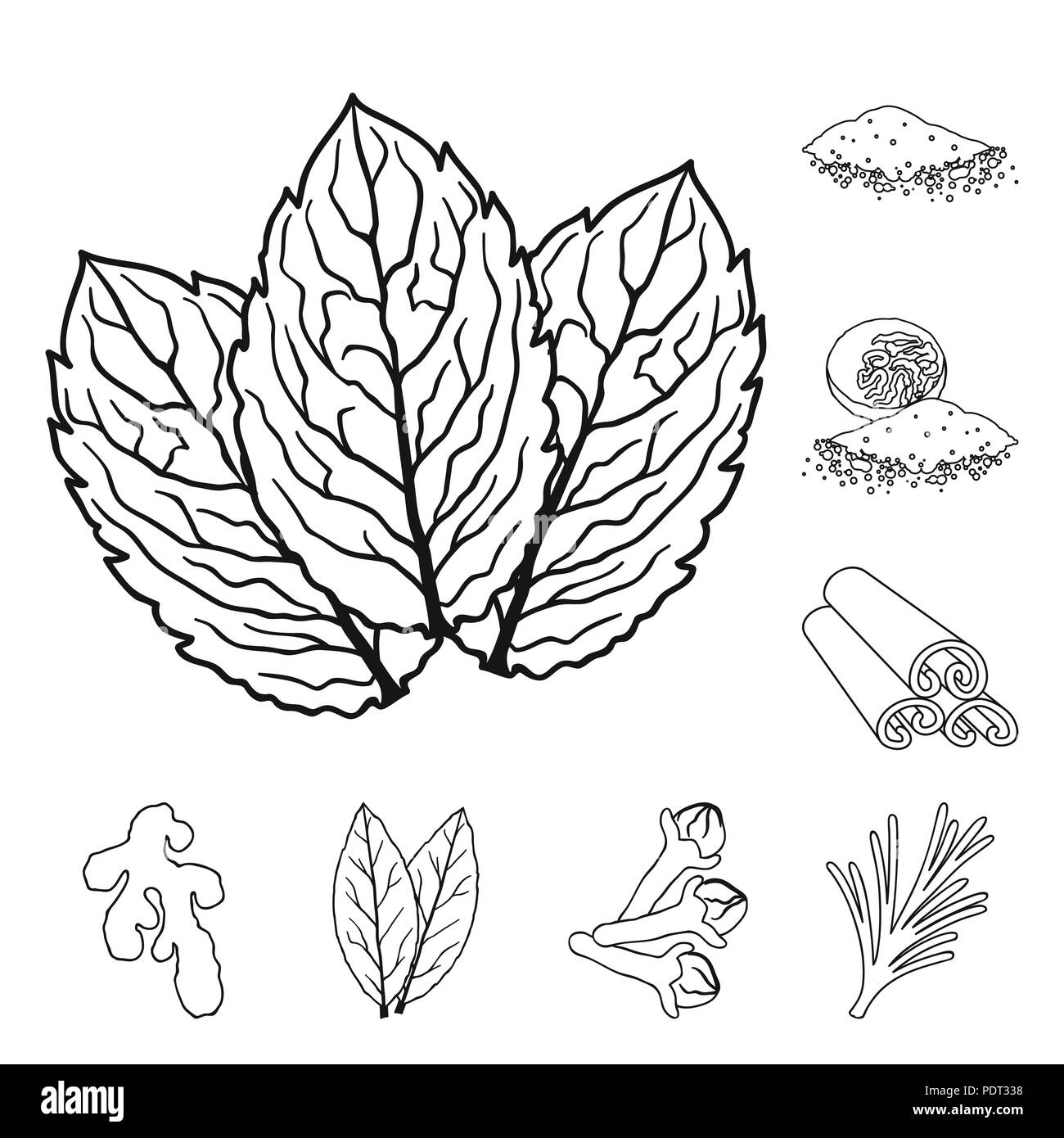 Herb and spices outline icons in set collection for design.Different ...