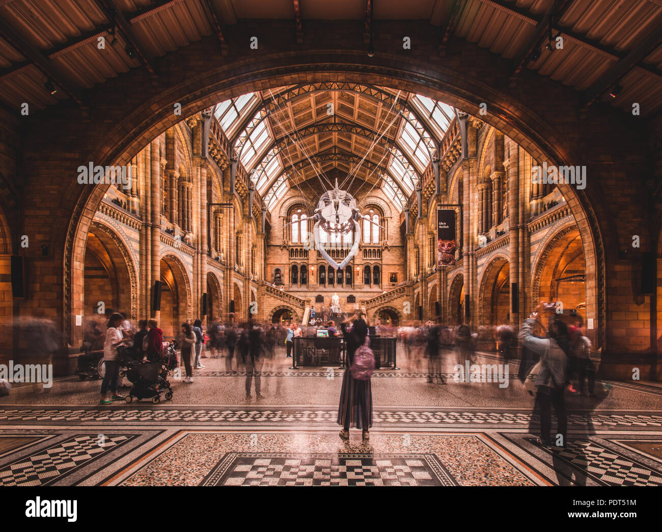 Natural History Museum London Stock Photo - Alamy