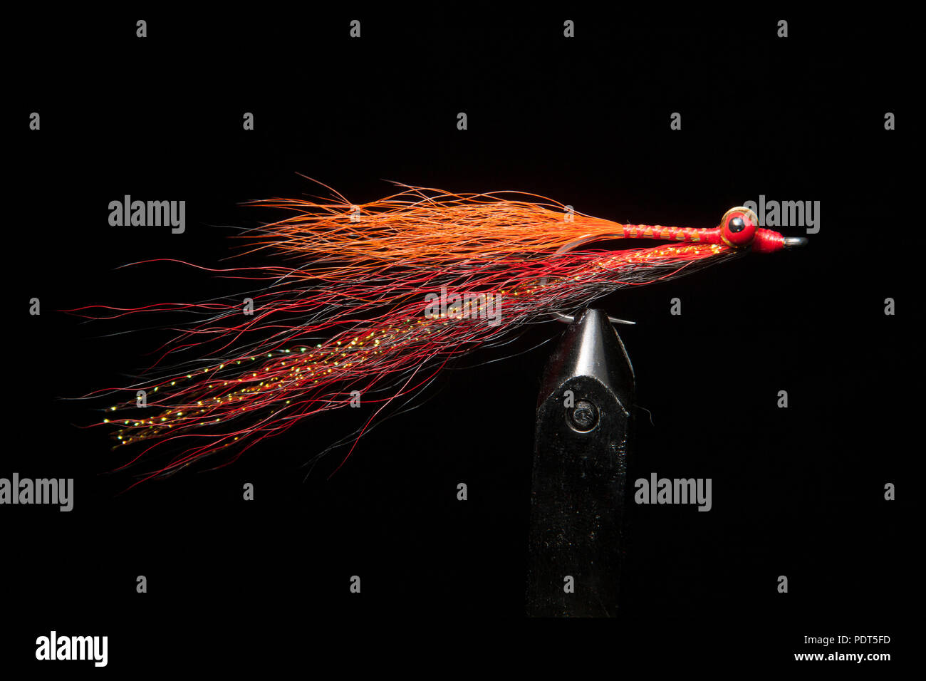 Saltwater fly fishing hi-res stock photography and images - Alamy