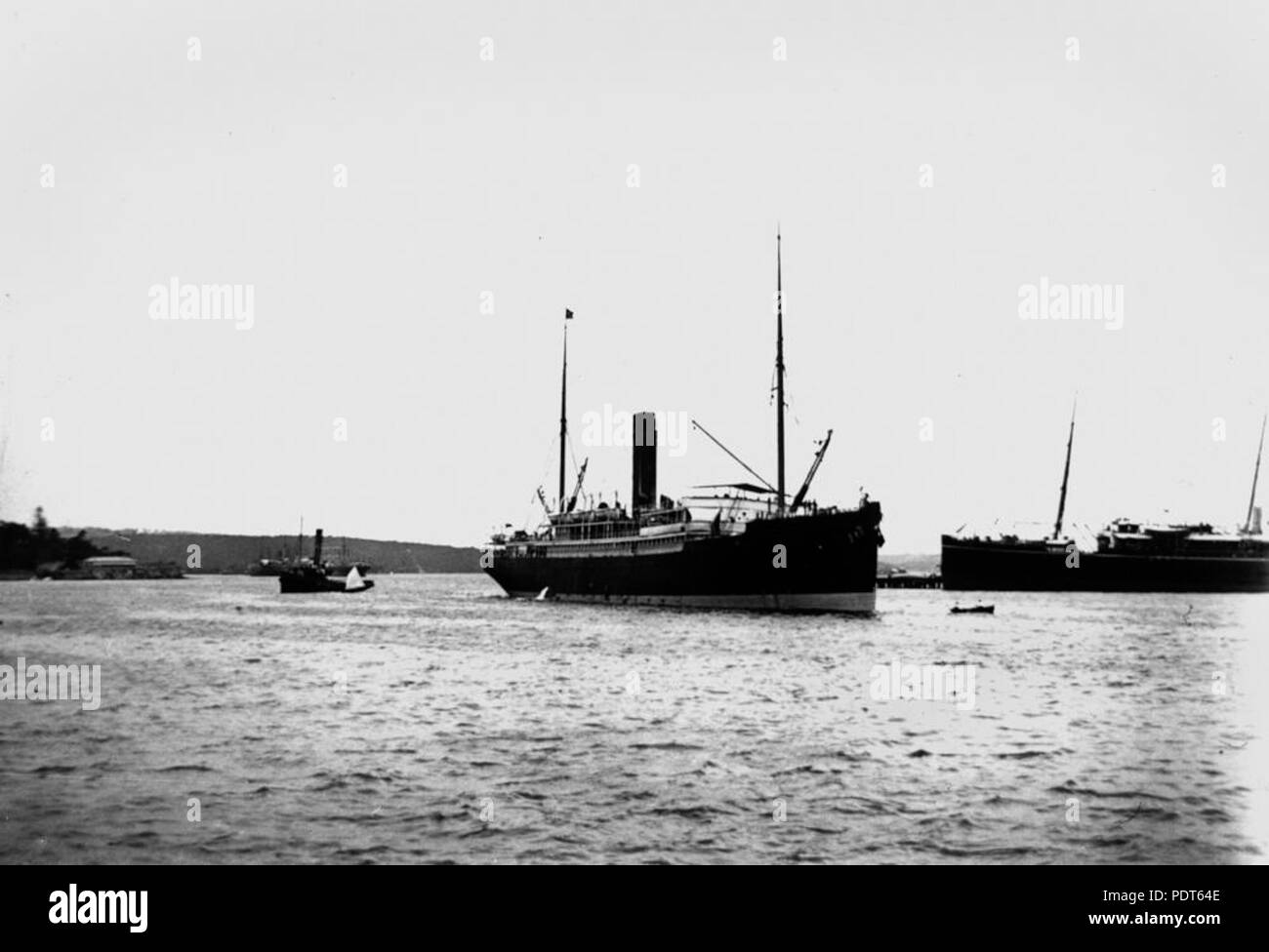Port moeraki hi-res stock photography and images - Alamy