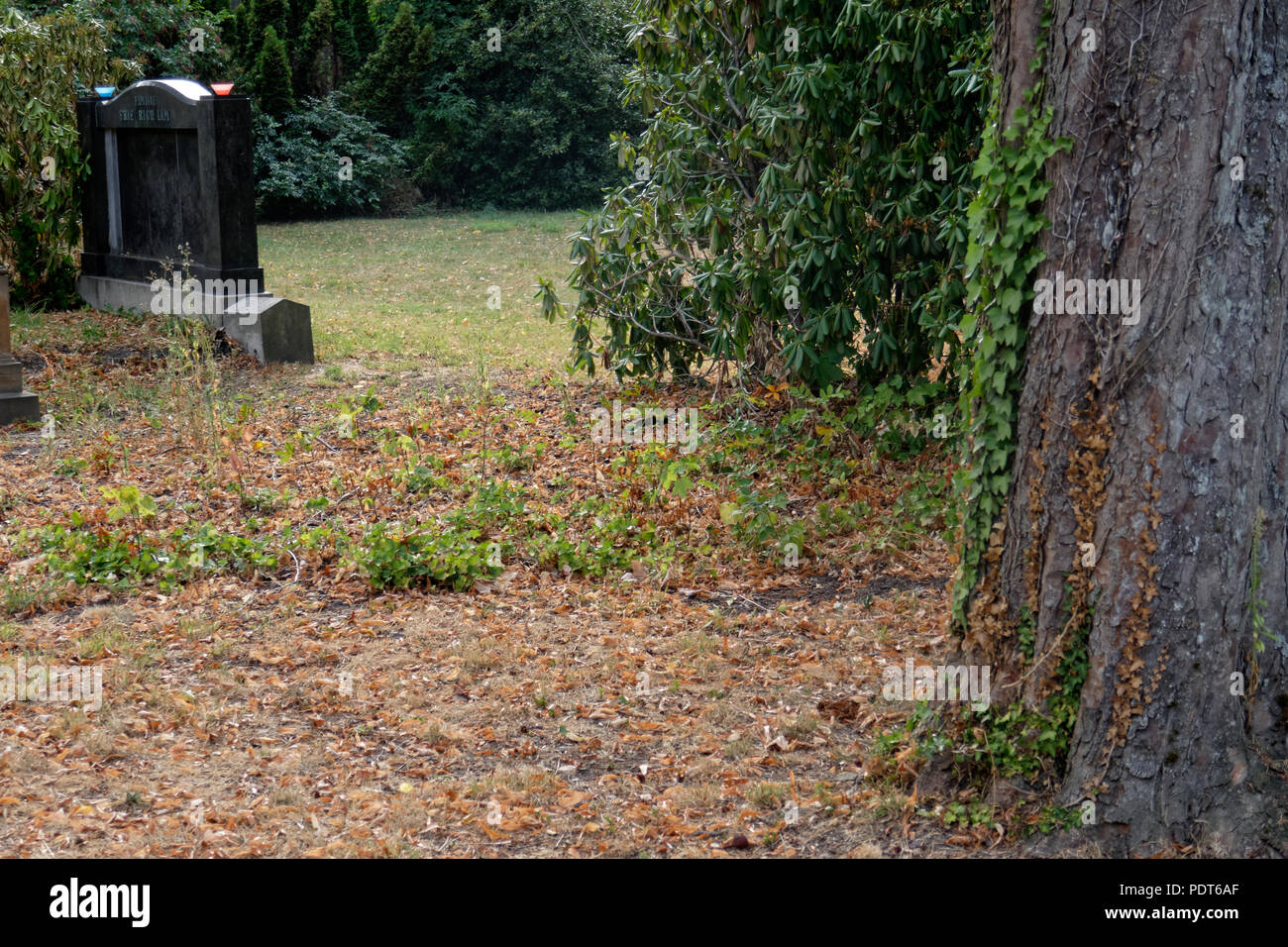 Old protestant cemetery hi-res stock photography and images - Alamy