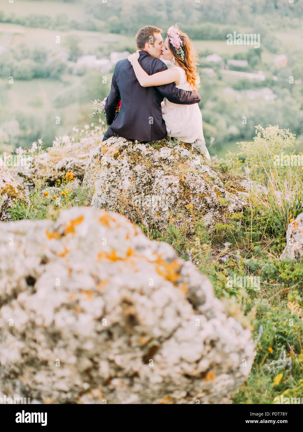Back view of the kissing newlyweds while sitting on the rock Stock ...