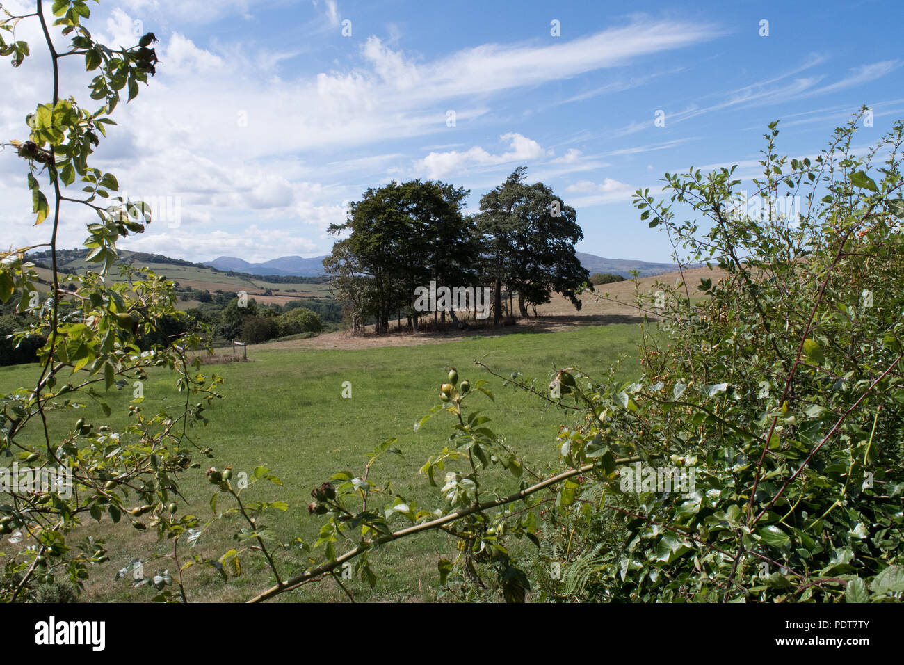 Charming countryside setting hi-res stock photography and images - Alamy