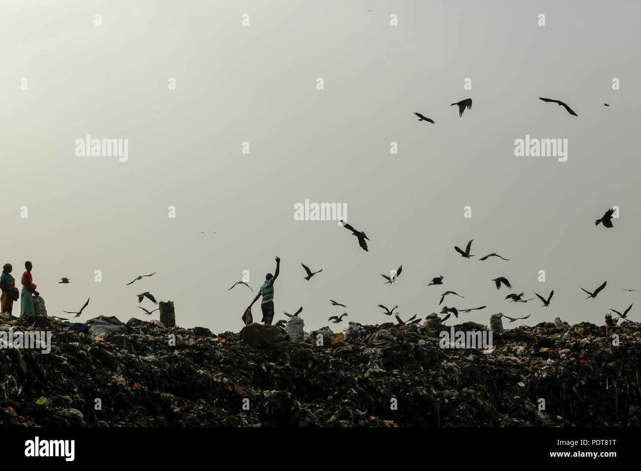 Matuail garbage dump yard in Dhaka, Bangladesh. It received 1500 tones ...