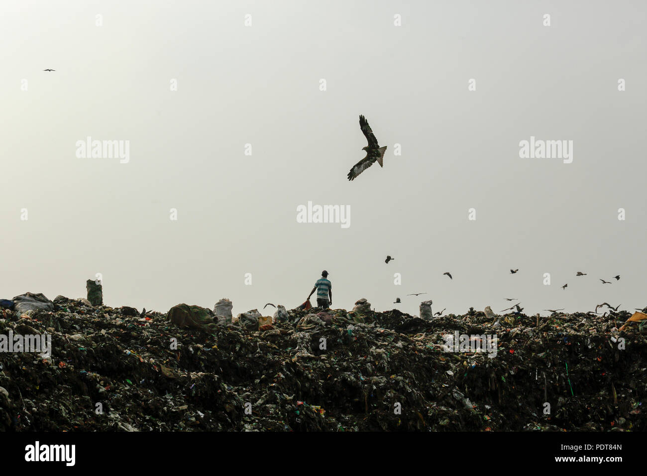 Matuail garbage dump yard in Dhaka, Bangladesh. It received 1500 tones ...