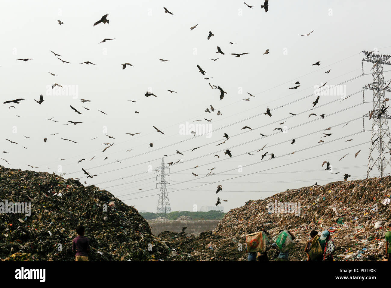 Matuail garbage dump yard in Dhaka, Bangladesh. It received 1500 tones ...