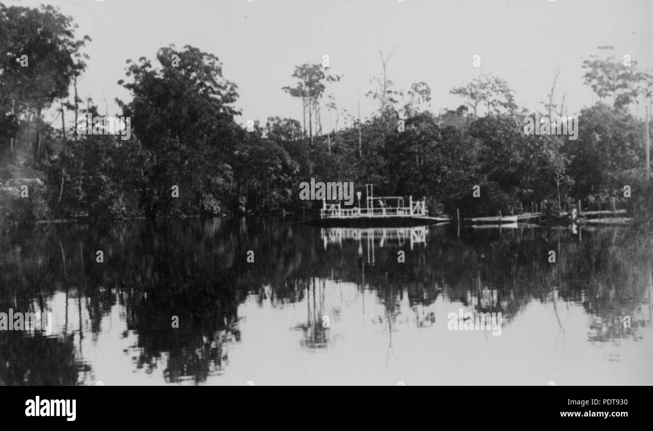 Cobaki hi-res stock photography and images - Alamy