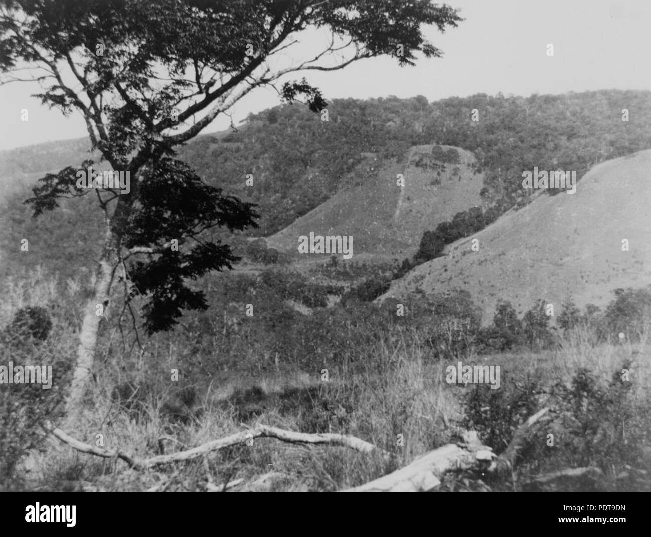 Bunya mountains Black and White Stock Photos & Images - Alamy