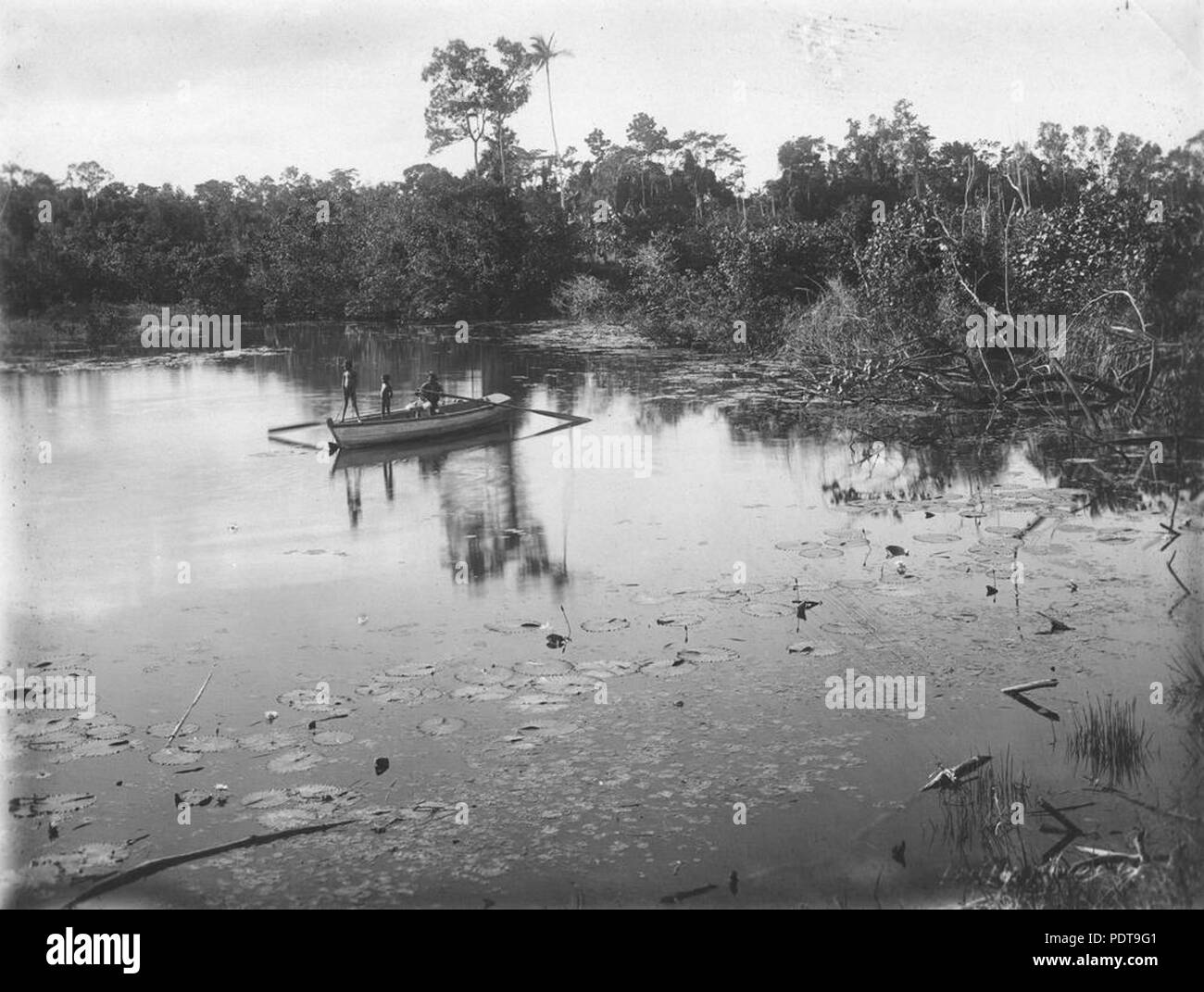 Tully river hi-res stock photography and images - Alamy