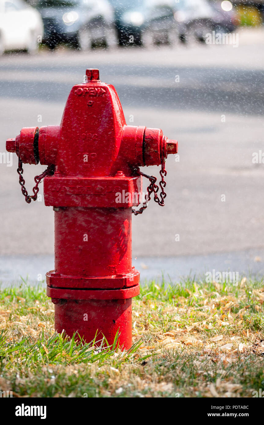 Red city fire hydrant in a cityscape environment with a city street in ...