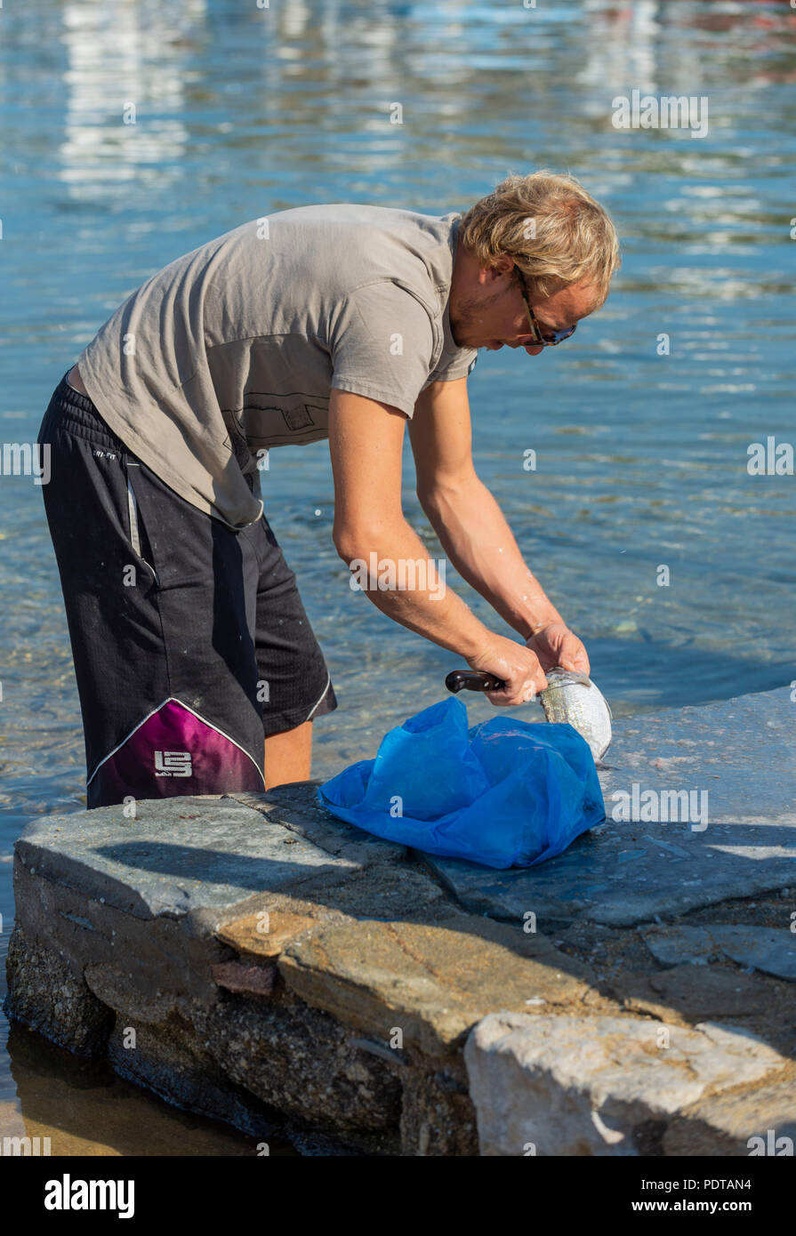 Fisherman cleaning a fish in Mykonos Greece Stock Photo - Alamy