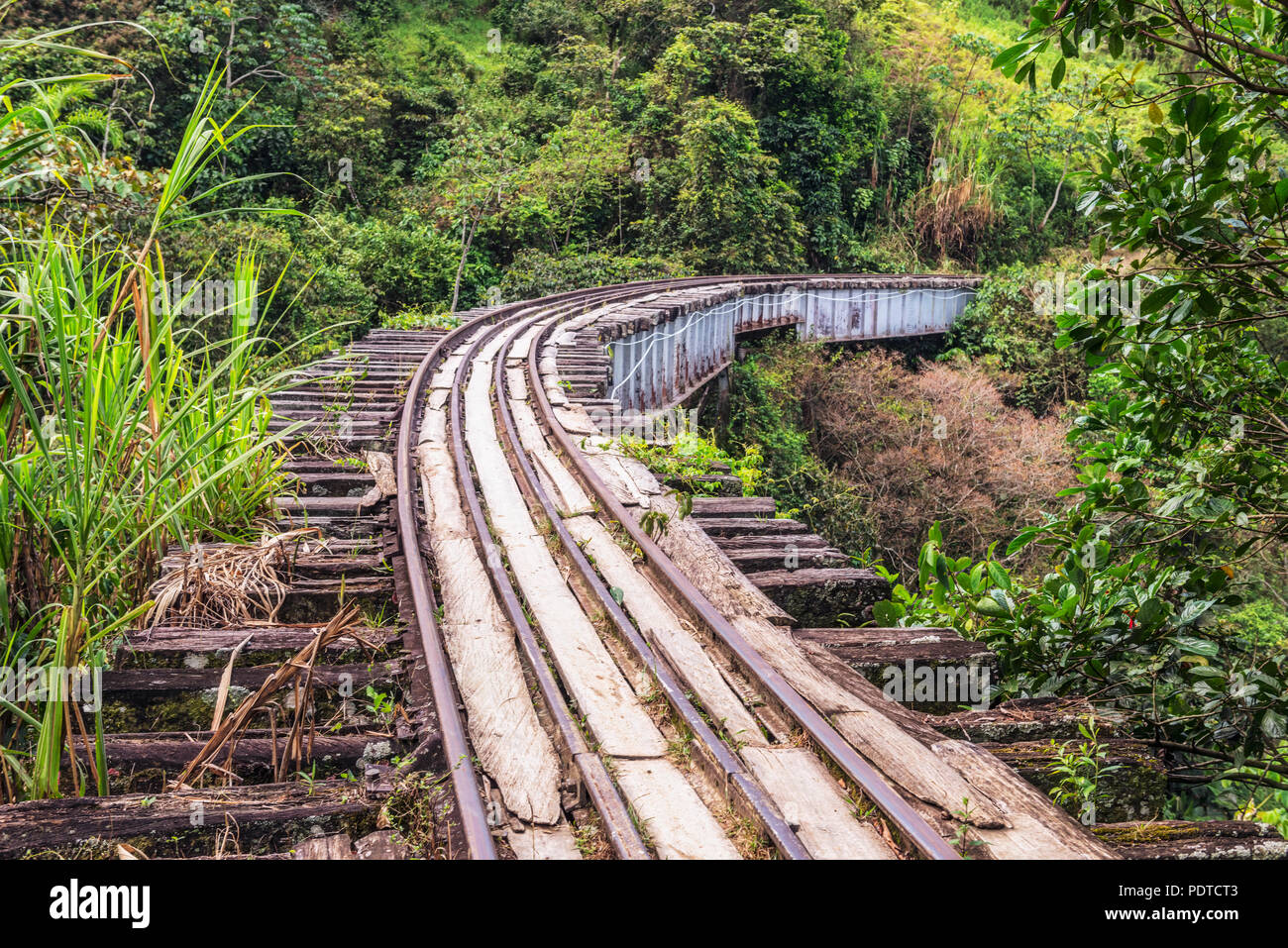 Old railroad track near Medellin, Colombia. Crossing old bridge becomes ...