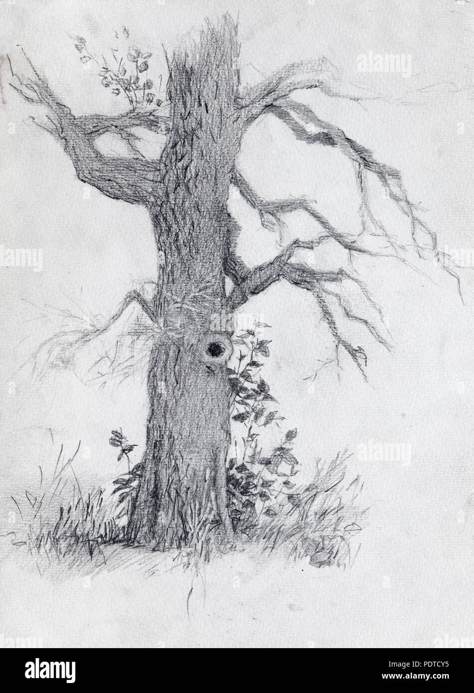 Pencil drawing, sketch Stock Photo - Alamy