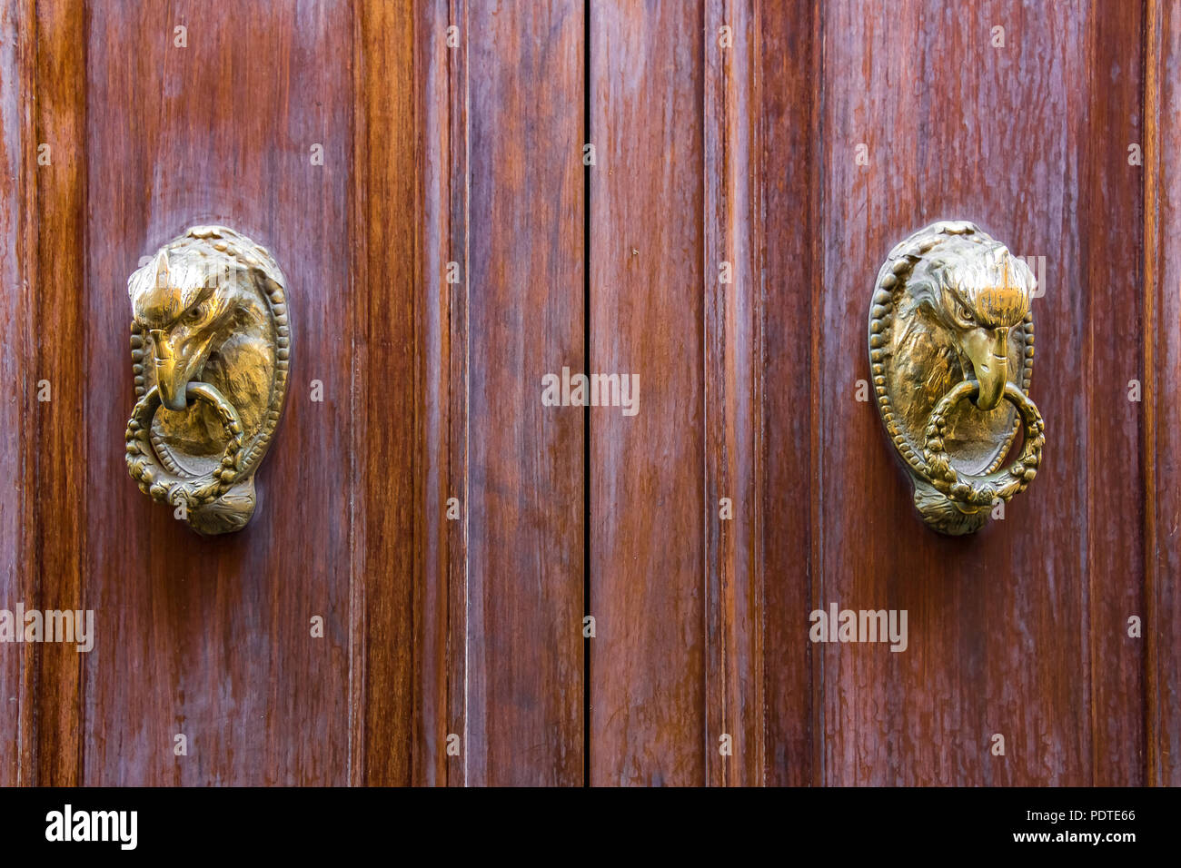 Eagle knocker door bird hi-res stock photography and images - Alamy