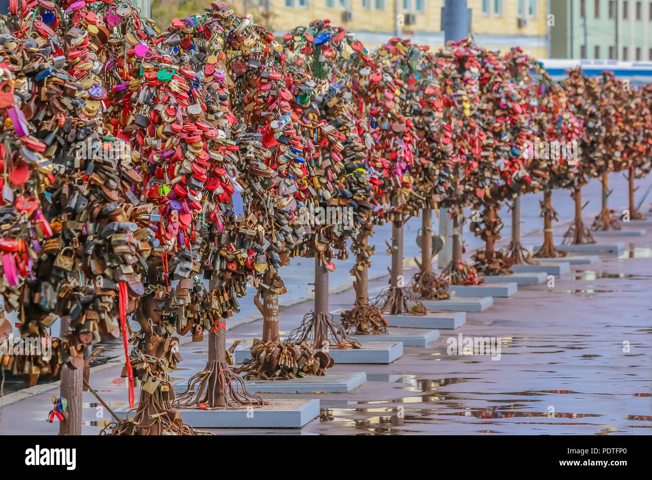 Love locks symbolizing unity, engagement, marriage and commitment have ...