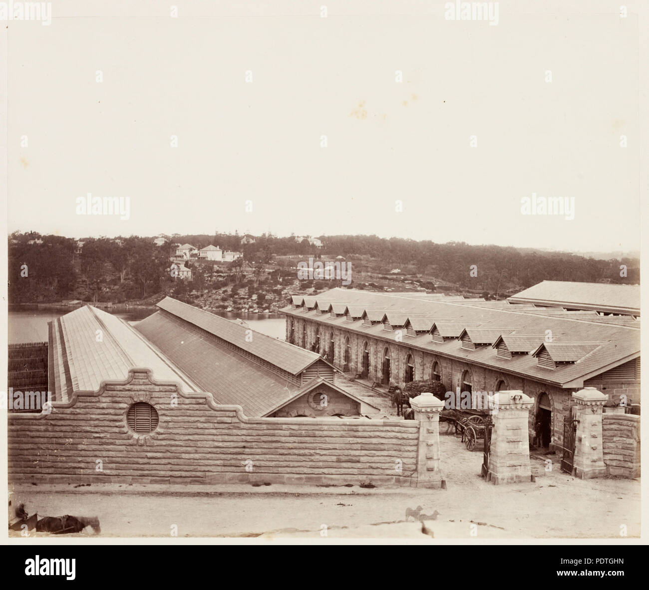 167 SLNSW 479528 25 Glebe Island Abattoirs SH 616 Stock Photo - Alamy