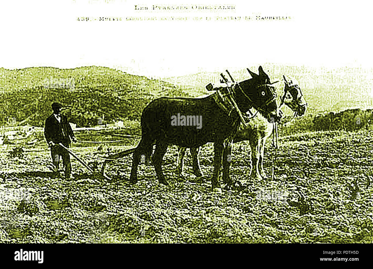 Labour de cheval hi-res stock photography and images - Alamy