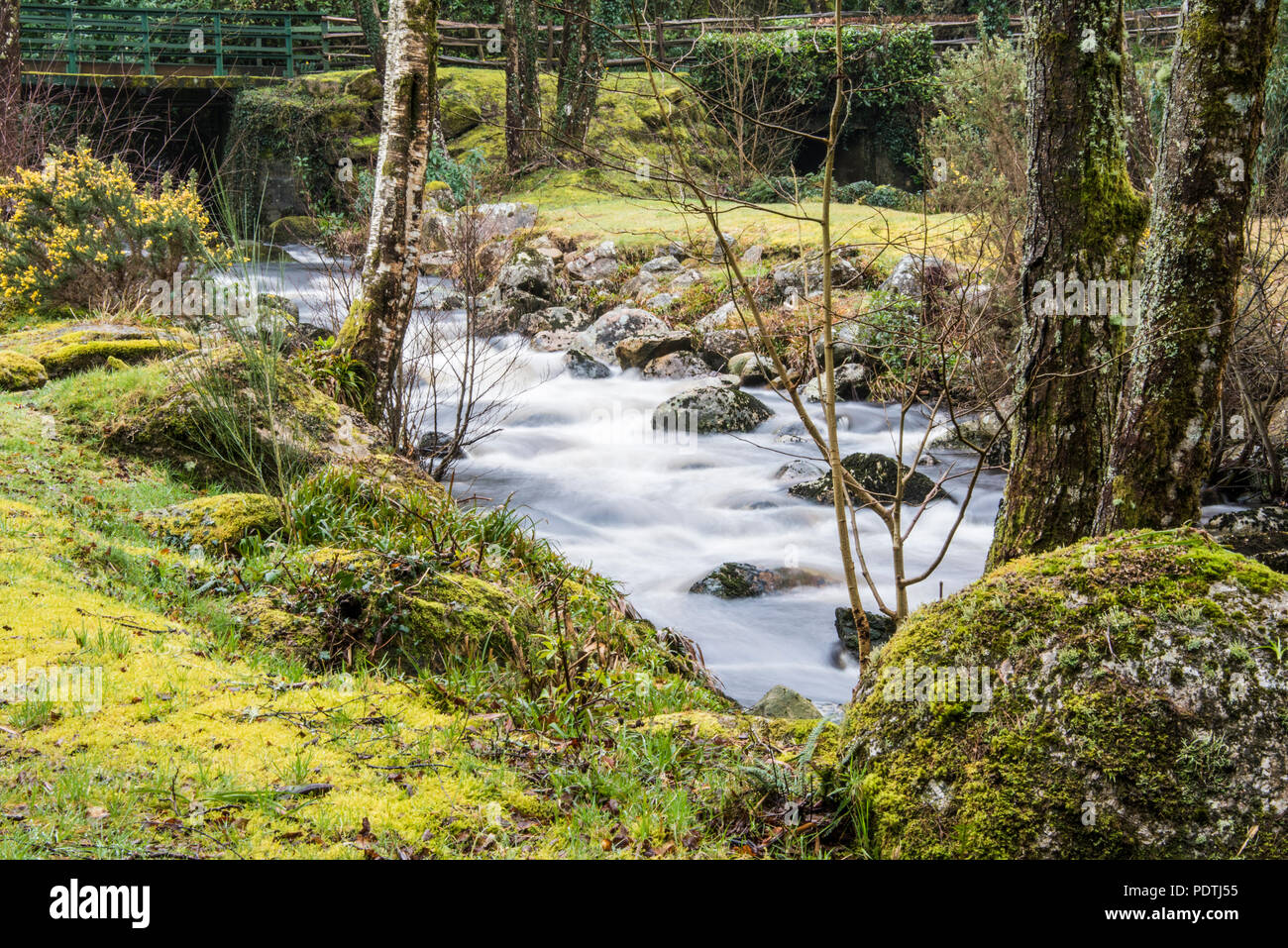 River in Dartmoor National Park Stock Photo - Alamy