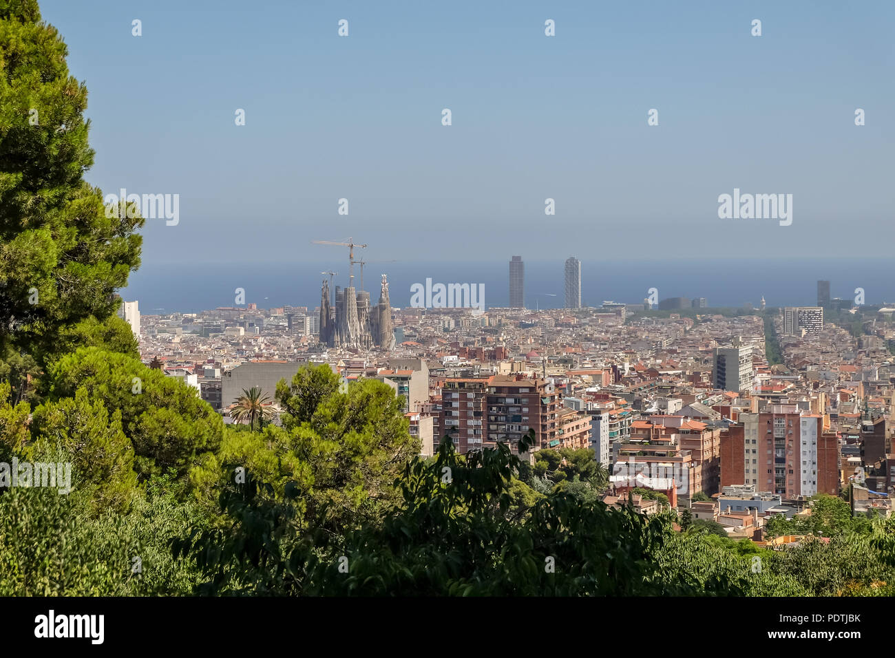 Vision tree panoramic view hi-res stock photography and images - Alamy