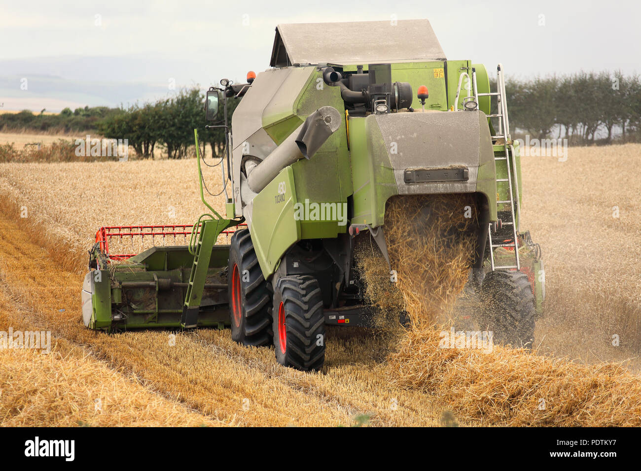 A Combine Harvester moving across the field of Wheat cutting and ...