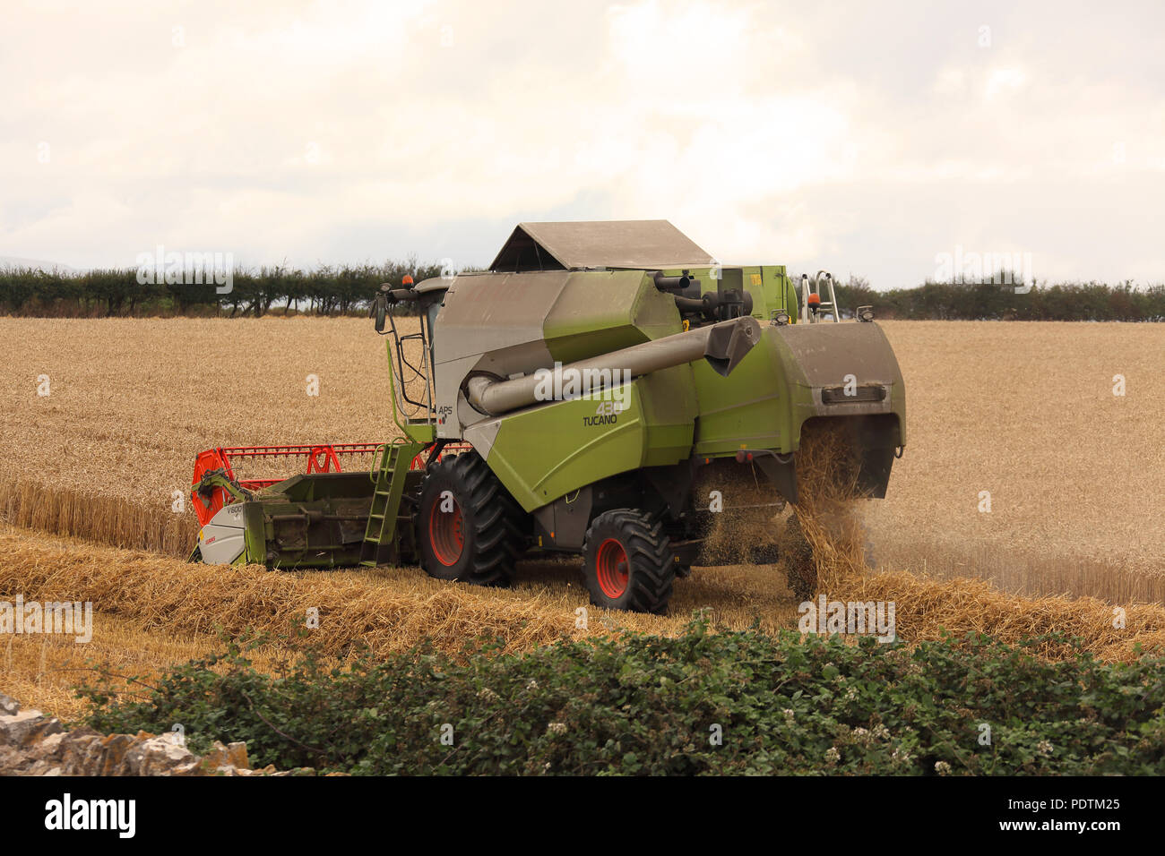 A Combine Harvester moving across the field of Wheat cutting and ...
