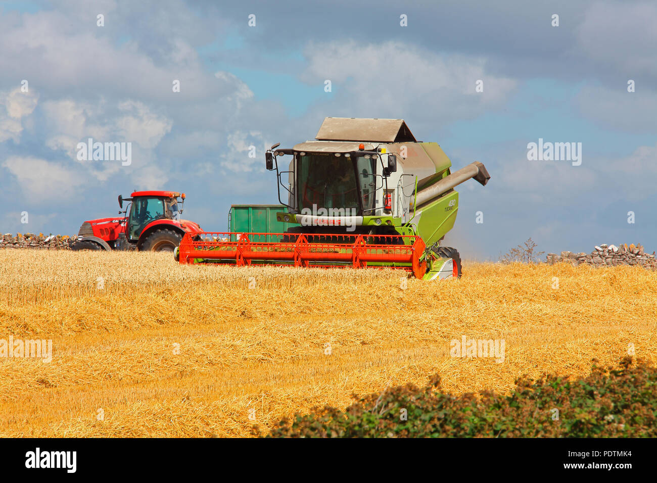 A Combine Harvester moving across the field of Wheat cutting and ...