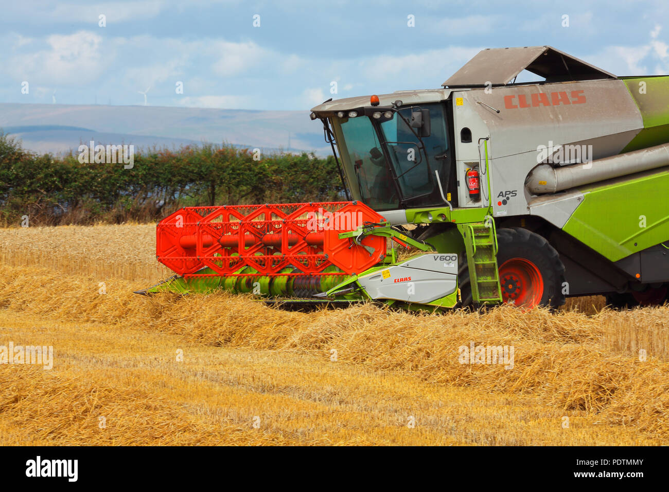 A Combine Harvester moving across the field of Wheat cutting and ...