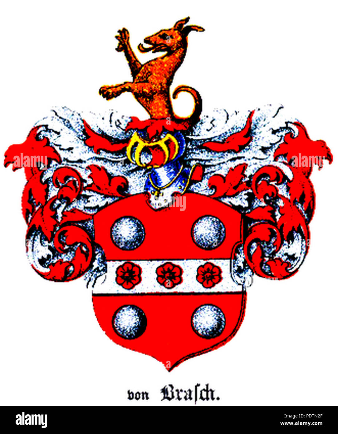 Brasch High Resolution Stock Photography and Images - Alamy