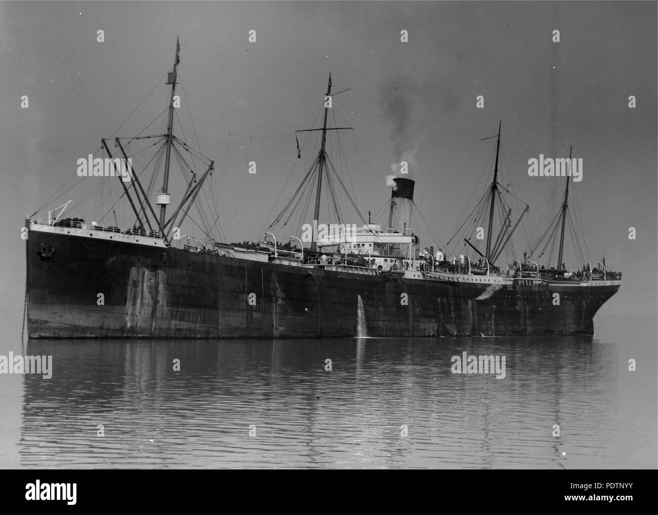 Persic hi-res stock photography and images - Alamy