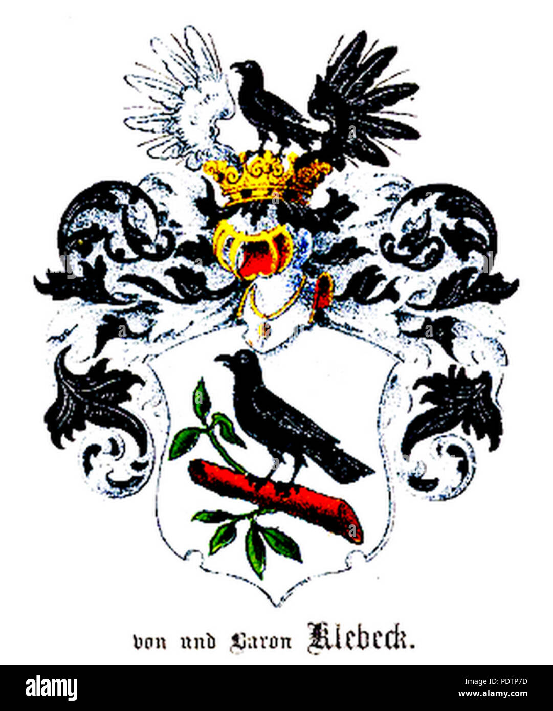 20 Klebeck CoA Stock Photo - Alamy