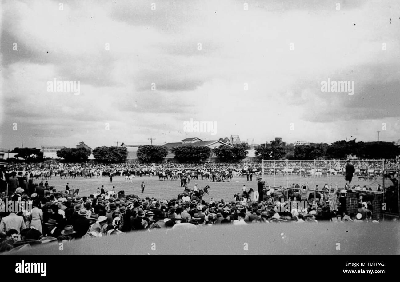 200 StateLibQld 1 102569 Crowds surround the main show ring to watch ...