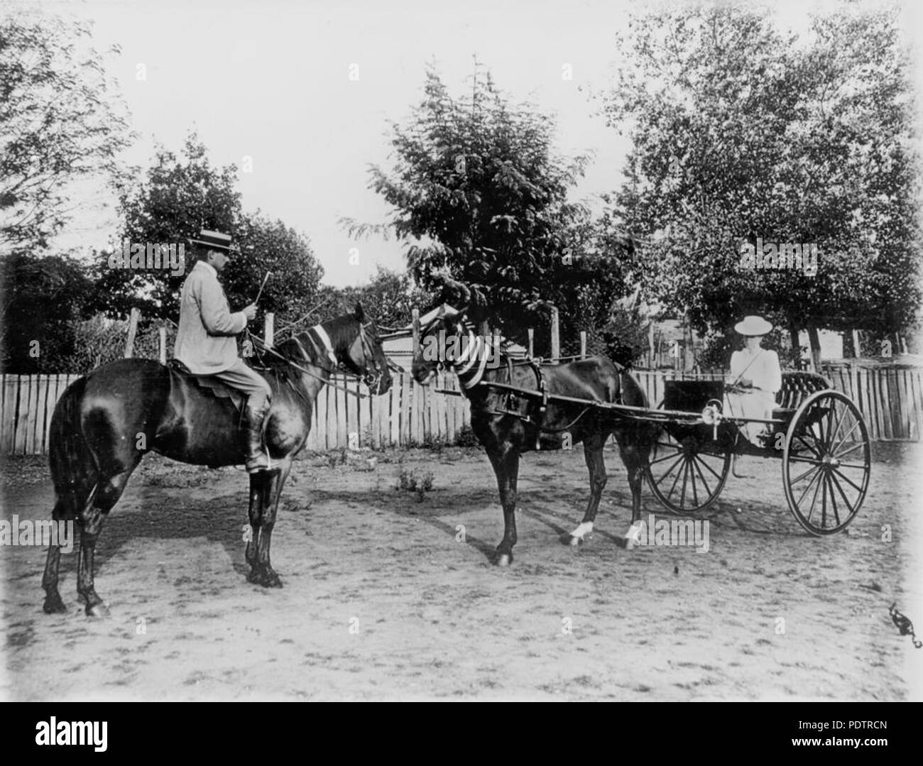 Sulky riding hi-res stock photography and images - Alamy