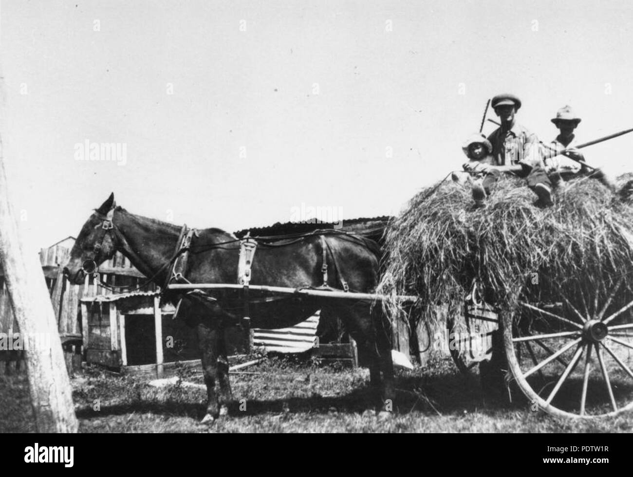 Hay cart hi-res stock photography and images - Alamy
