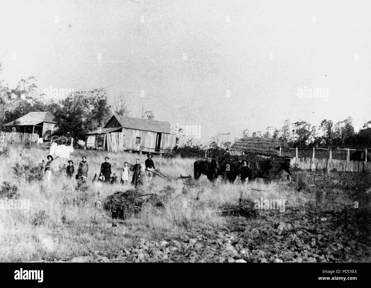 212 StateLibQld 1 123166 German farming family and farm in Fassifern ...