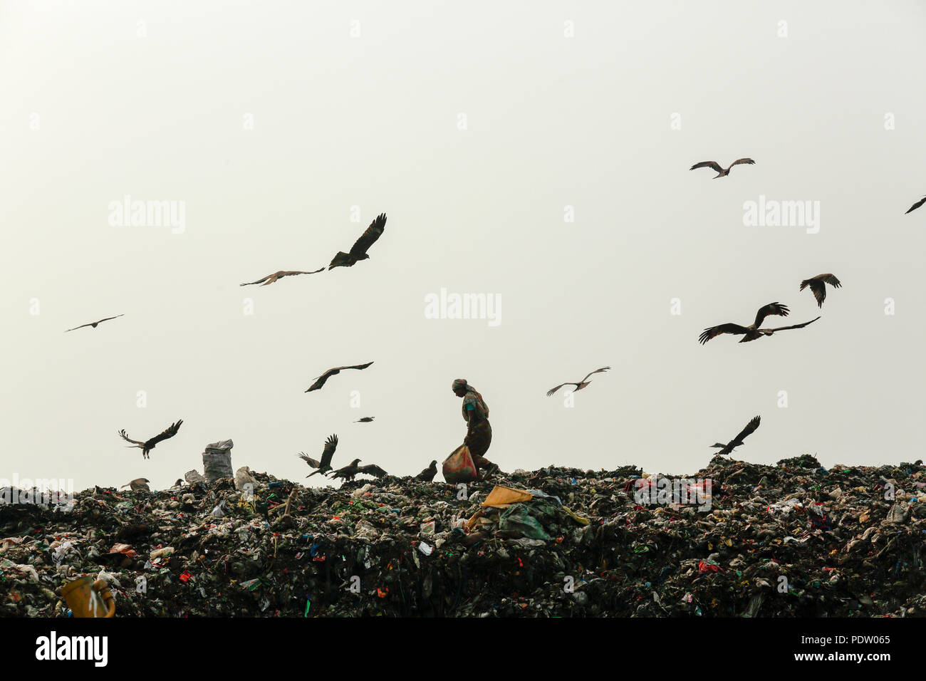 Matuail garbage dump yard in Dhaka, Bangladesh. It received 1500 tones ...