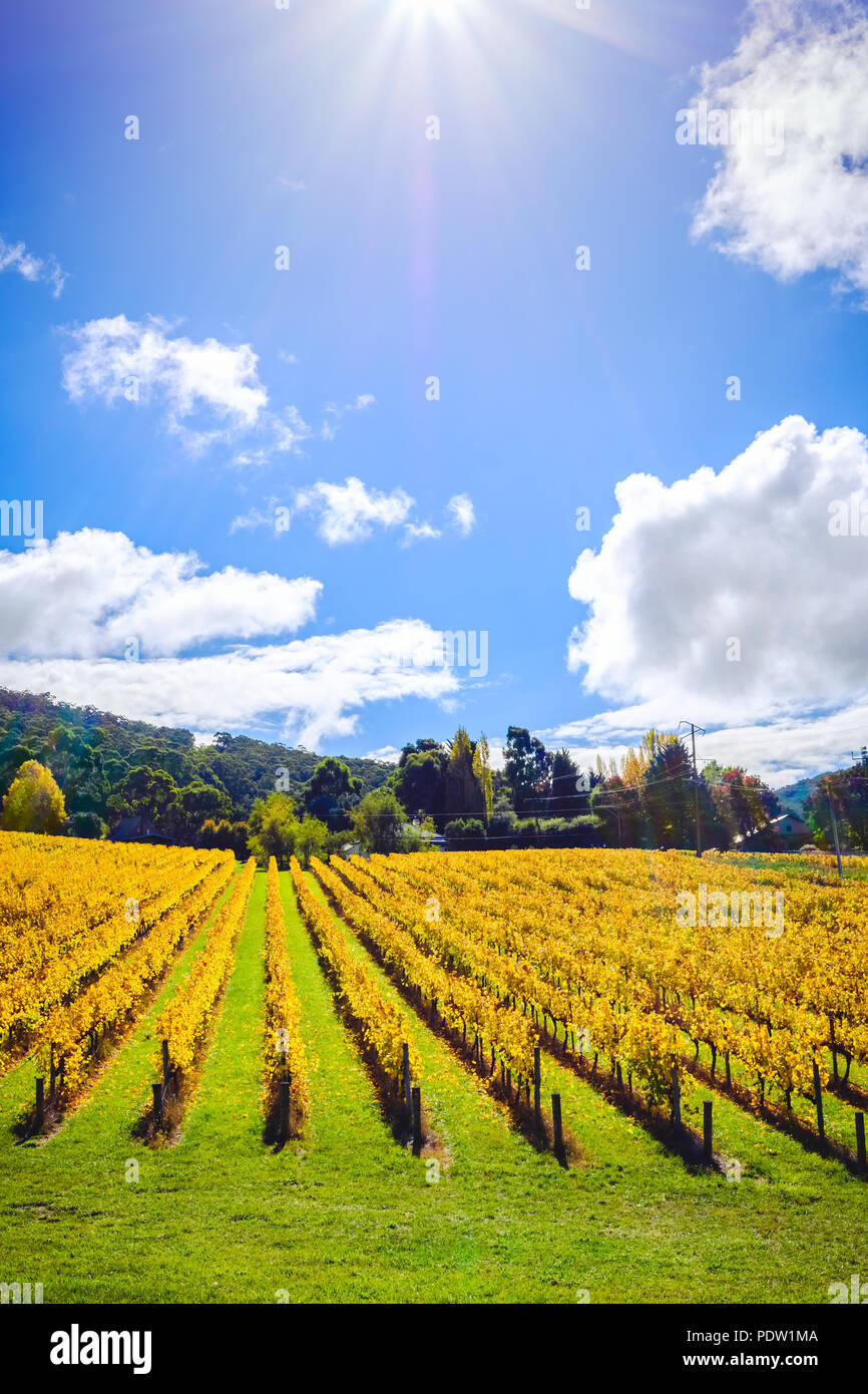 Autumn adelaide hills hi-res stock photography and images - Alamy