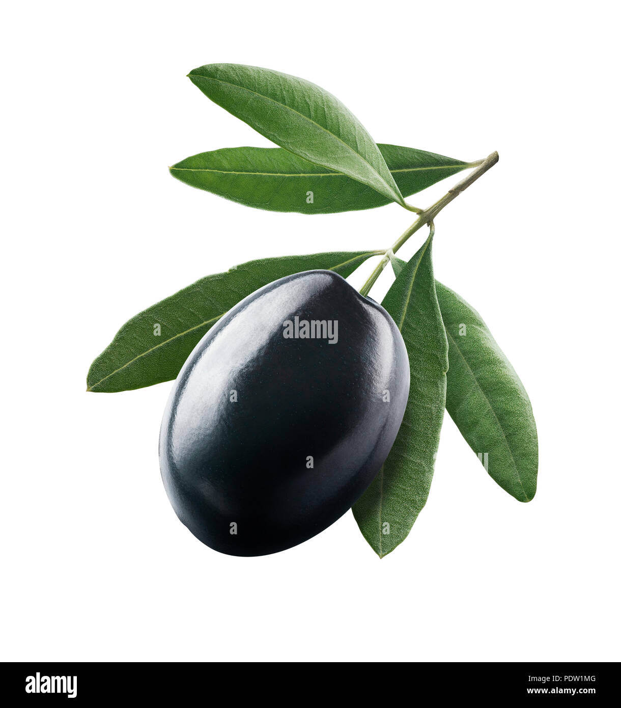 Single olive isolated hi-res stock photography and images - Alamy