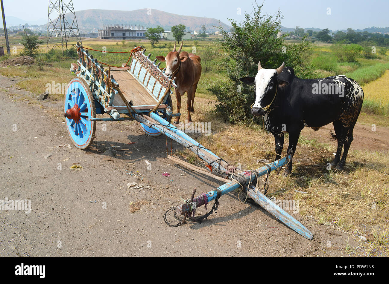 Bullock cart parked by the roadside in an indian village Stock Photo ...