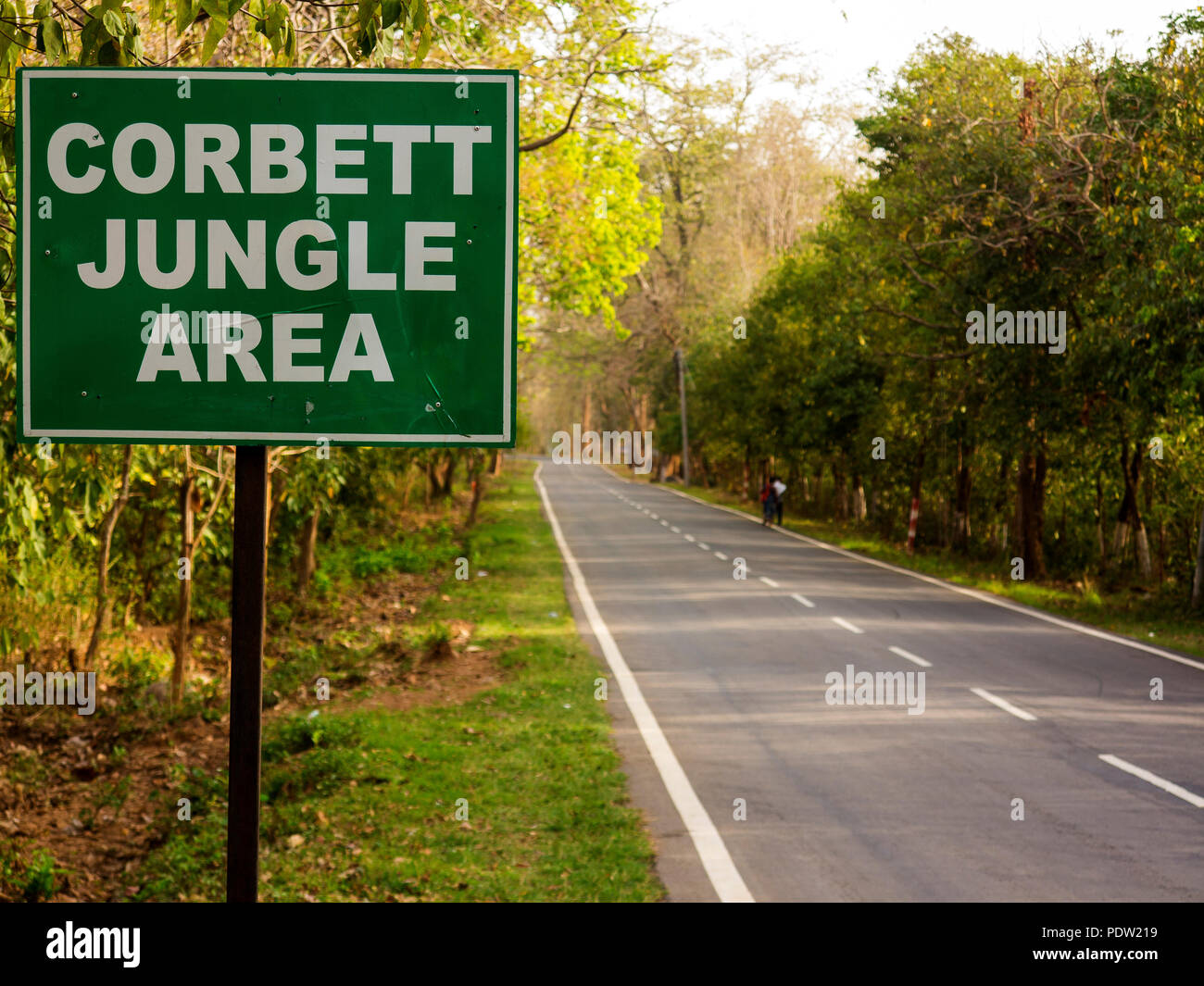 Jungle Jim High Resolution Stock Photography and Images - Alamy