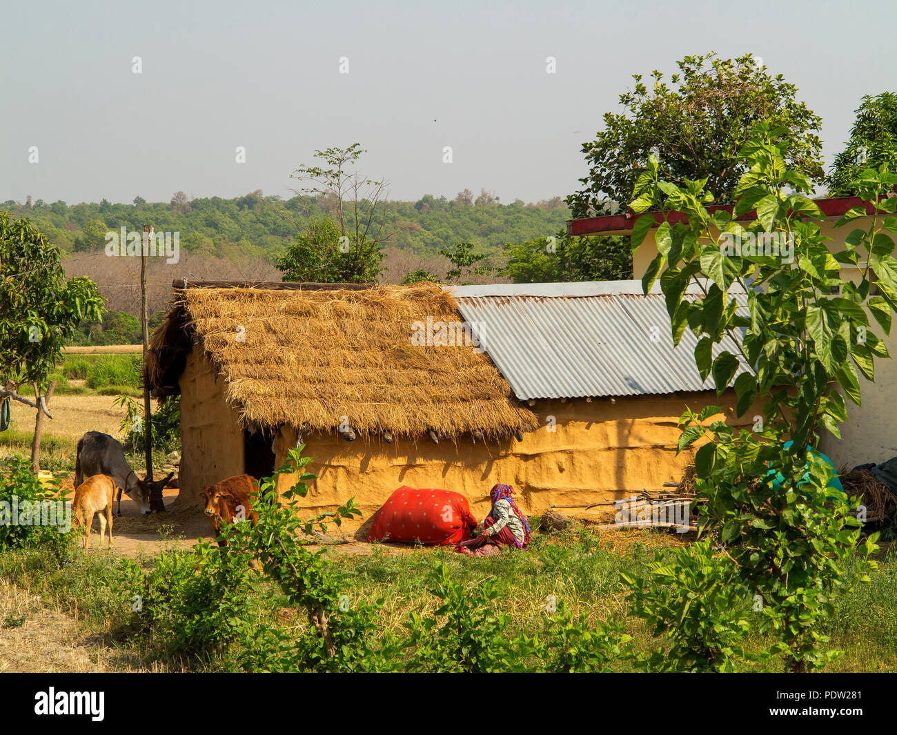 Indian grass hi-res stock photography and images - Alamy