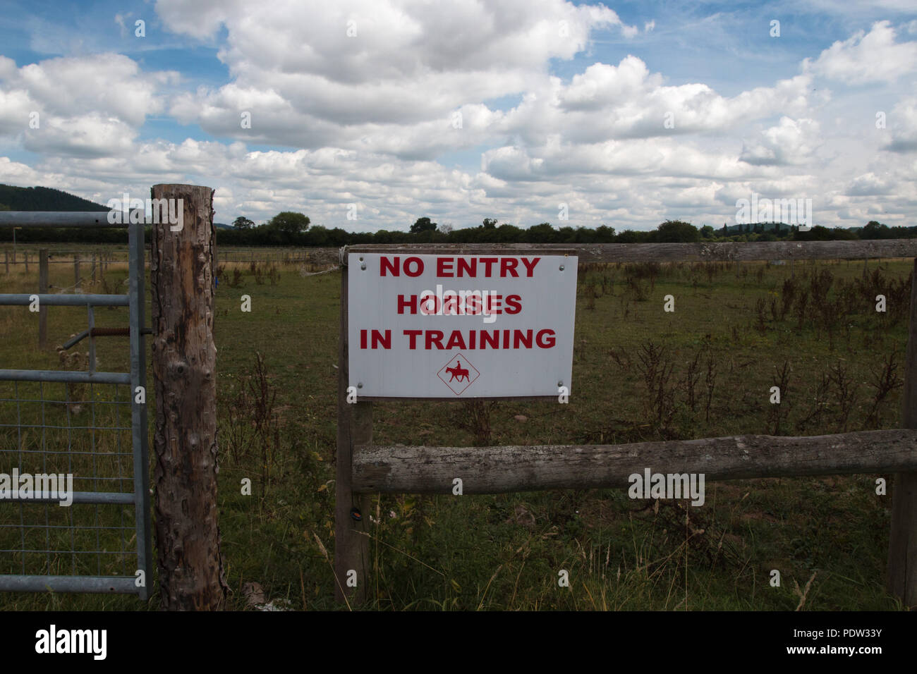 SIGN: No Entry Horses in Training Stock Photo - Alamy